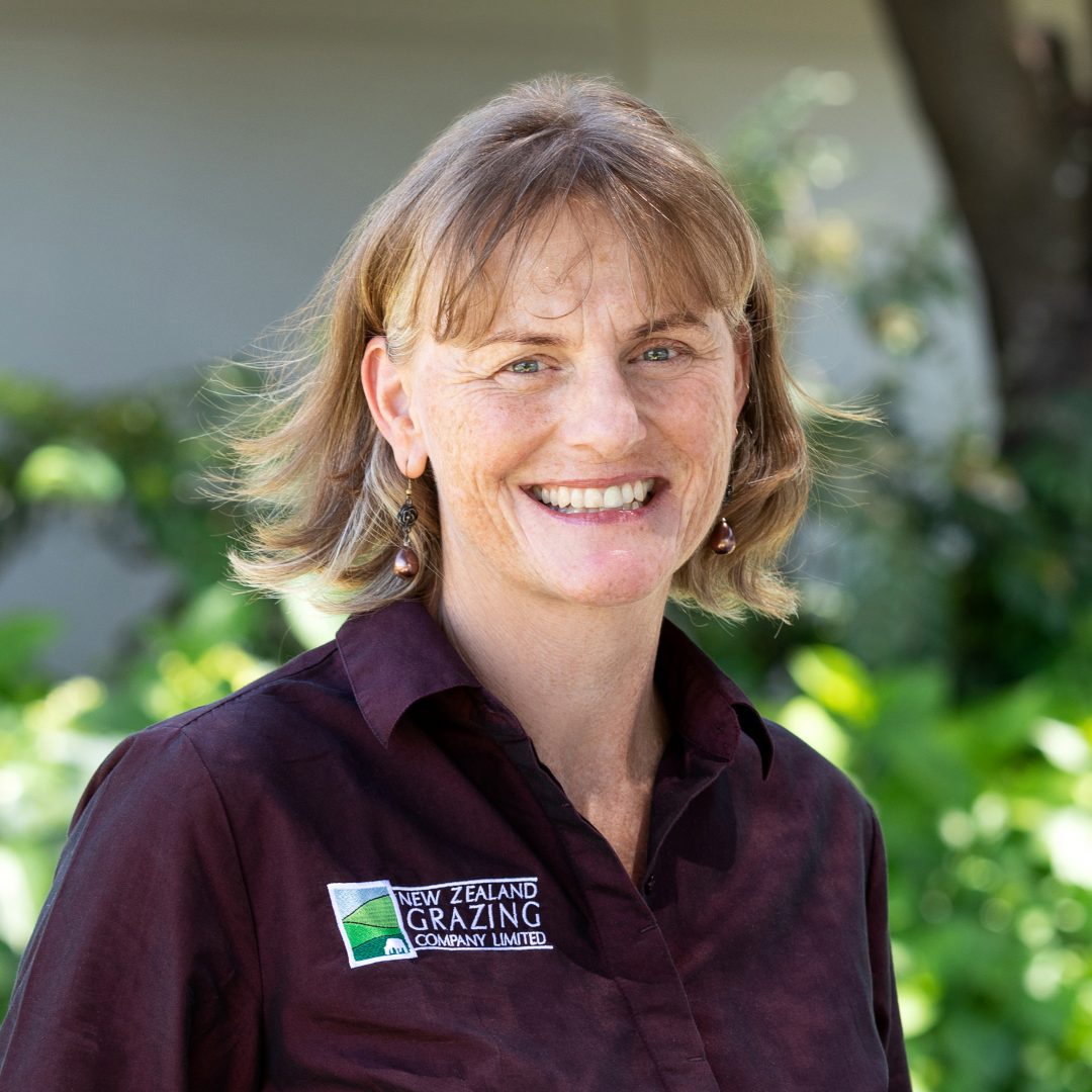 Home - New Zealand Grazing Company | Heifer Grazing | North Island Wide